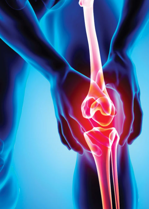 Knee | Shepparton Orthopaedics
