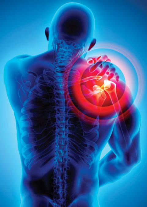 Shoulder | Shepparton Orthopaedics